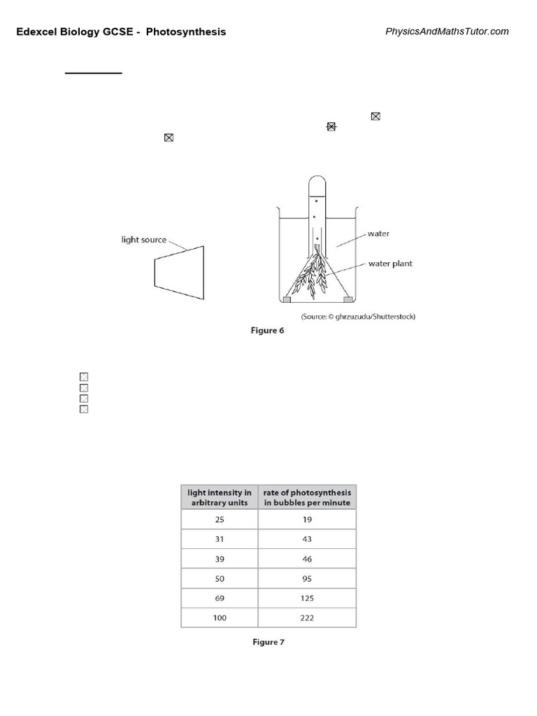 GCSE Photosynthesis Investigation Questions | PDF | Photosynthesis | Plants
