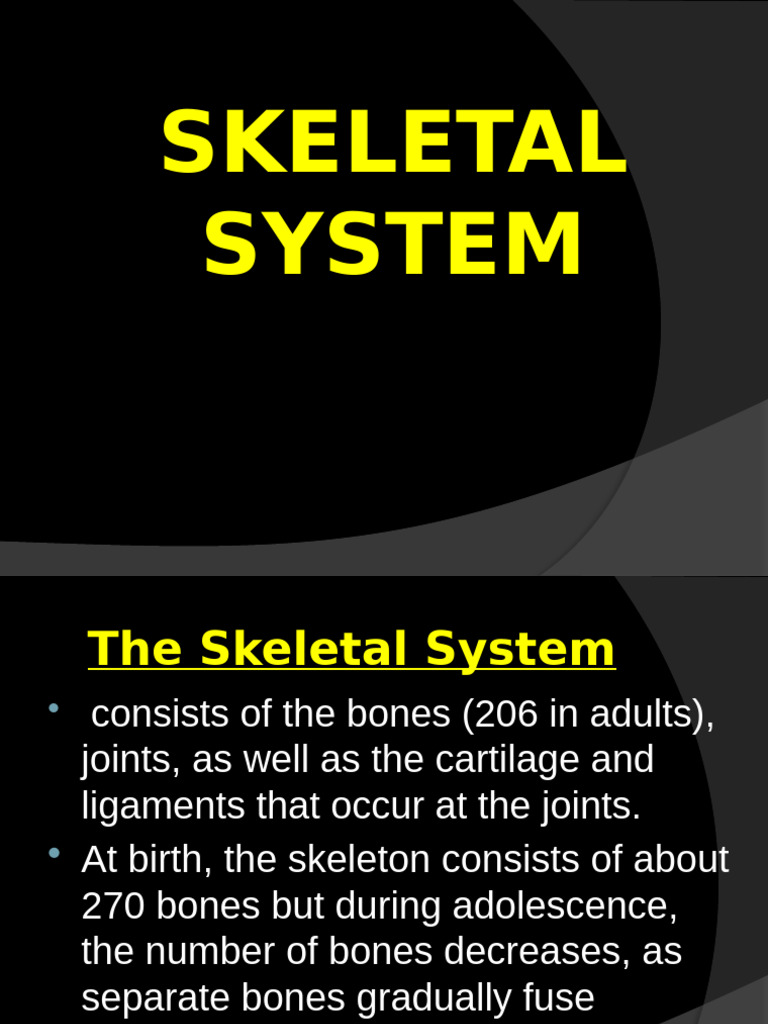 Lesson 4 - Skeletal System | PDF | Skull | Arm