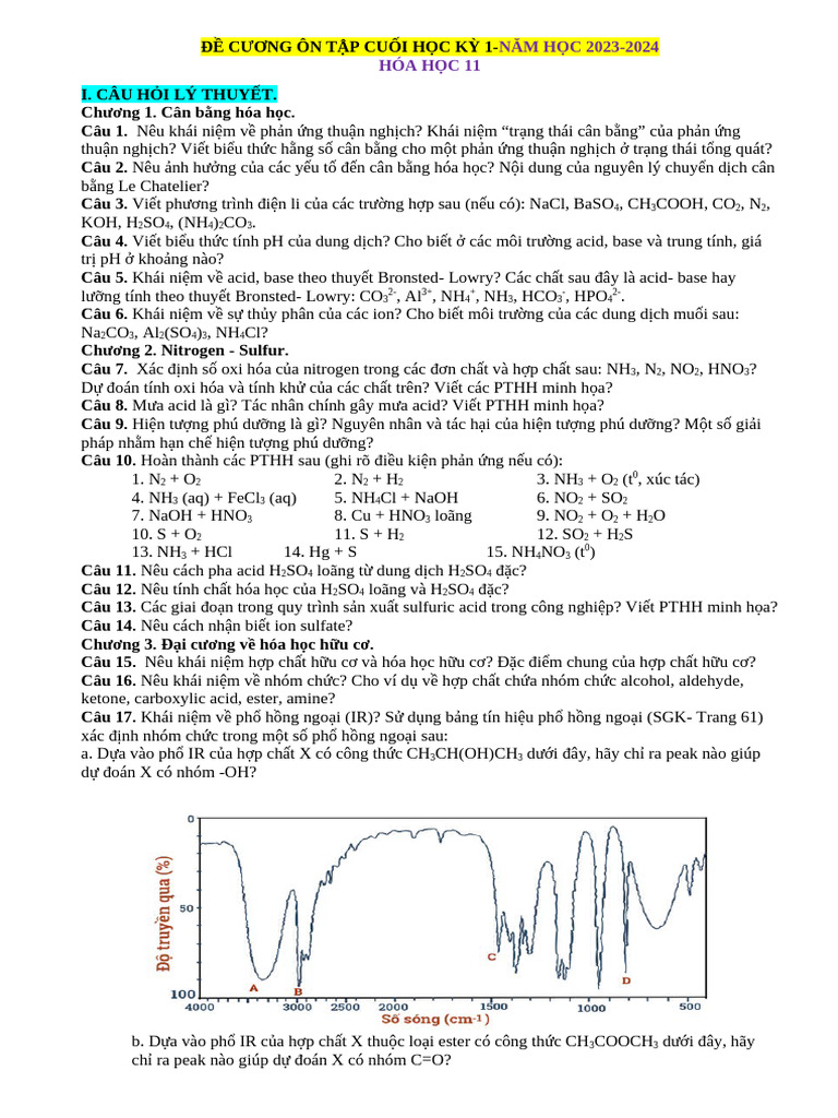 De Cuong On Tap HK1 Hoa 11 KNTT | PDF