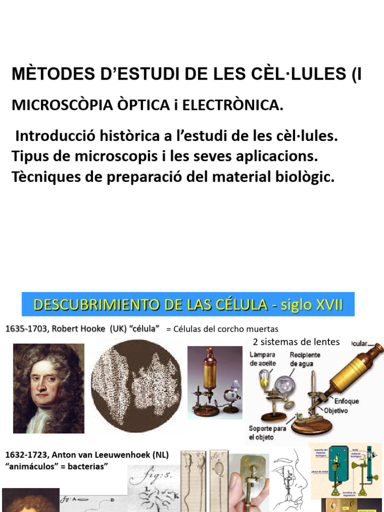 Tema 4 Biologia Cel Lular | PDF