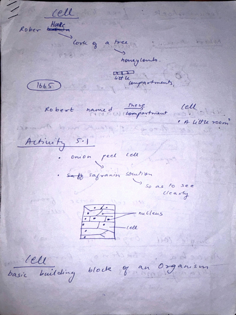 Cell Class 9 Notes Ncert | PDF