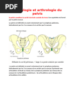 Anatomie et Examen du Bassin Obstétrical | PDF | Bassin (anatomie ...