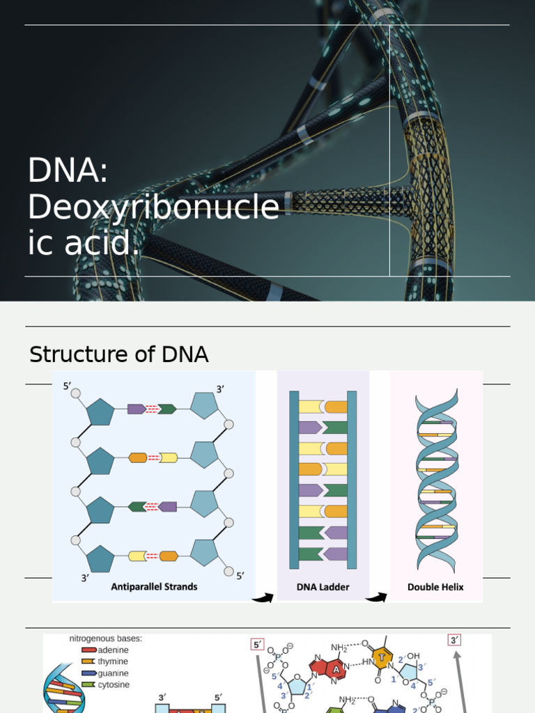 10th Grade-Biochemistry | PDF