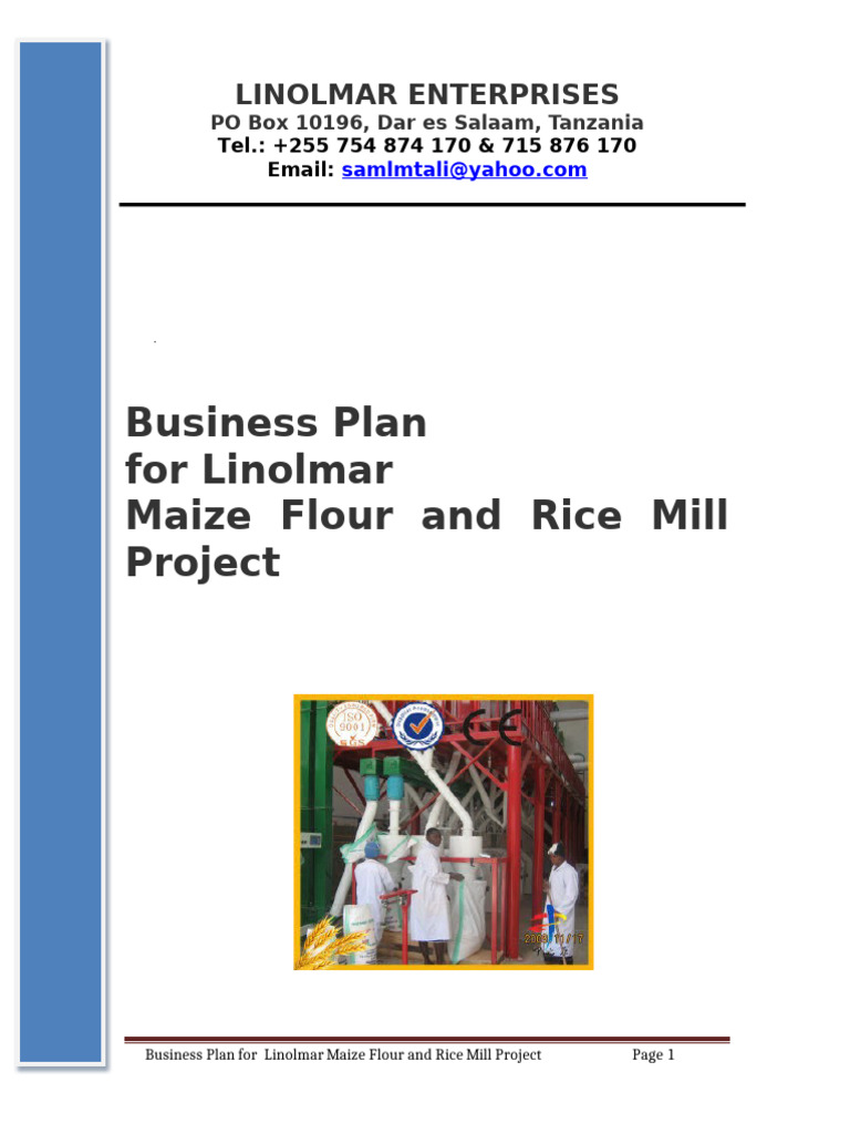 Business Plan For Maize and Rice Project | PDF | Advertising | Marketing