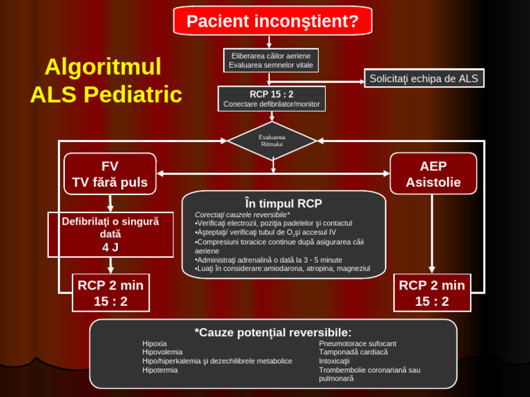 Algoritmul Pals | PDF