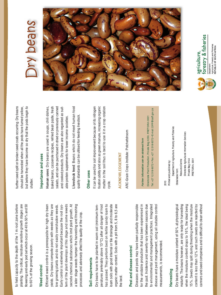 Brochure Dry beans | PDF | Bean | Phaseolus Vulgaris
