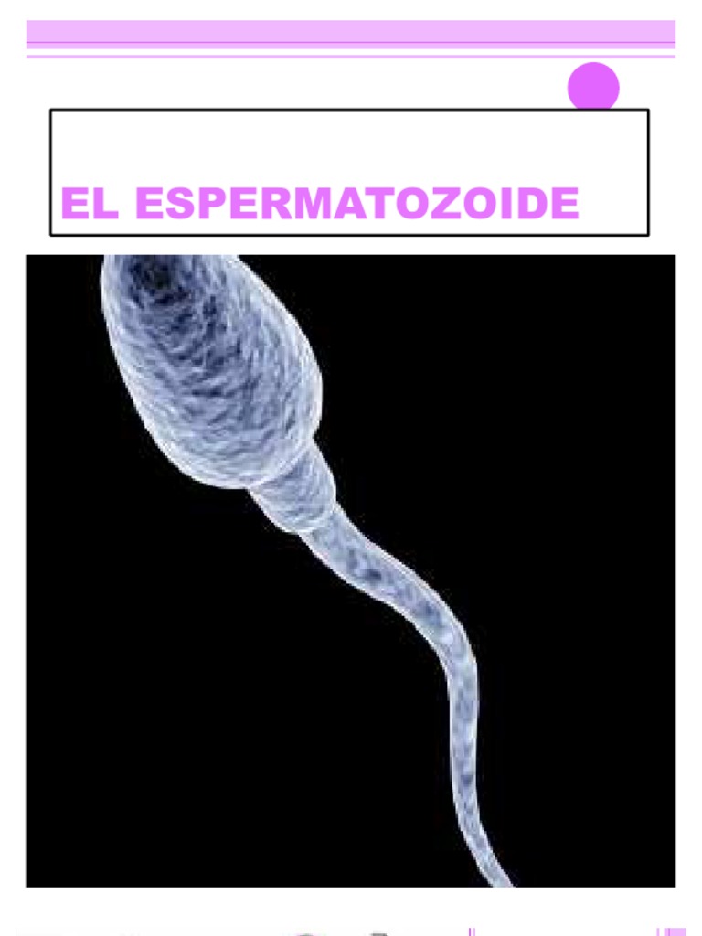Análisis del Espermatozoide | PDF