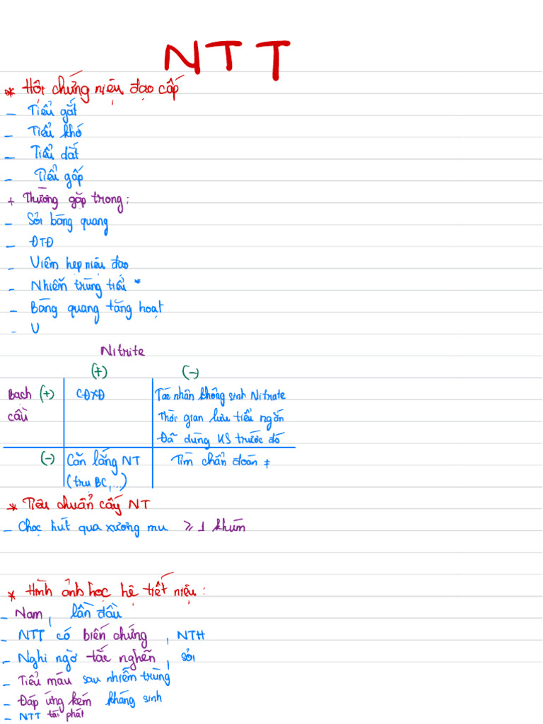 NTT | PDF | Nitrogen