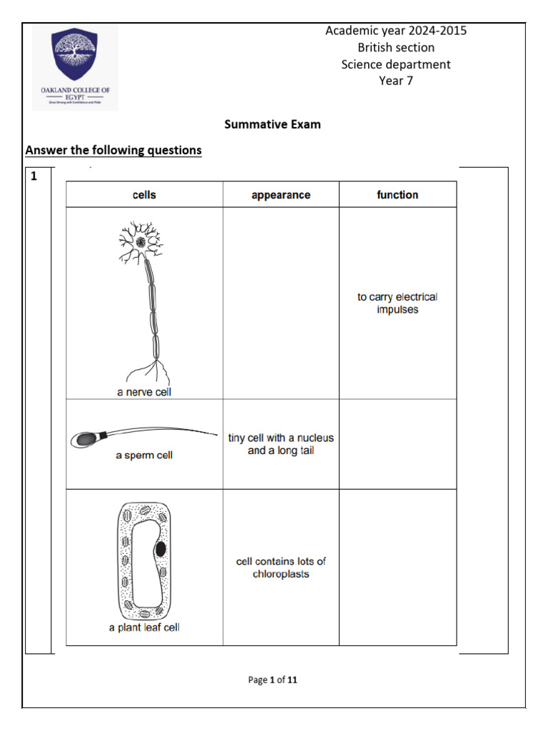 Summative Exam Year 7 | PDF | Vertebrates | Tissue (Biology)