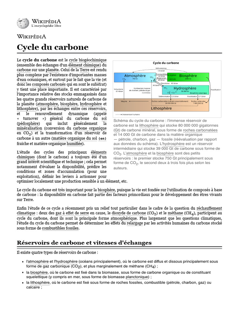 Schéma du cycle du carbone terrestre | PDF | Cycle du carbone | Dioxyde ...