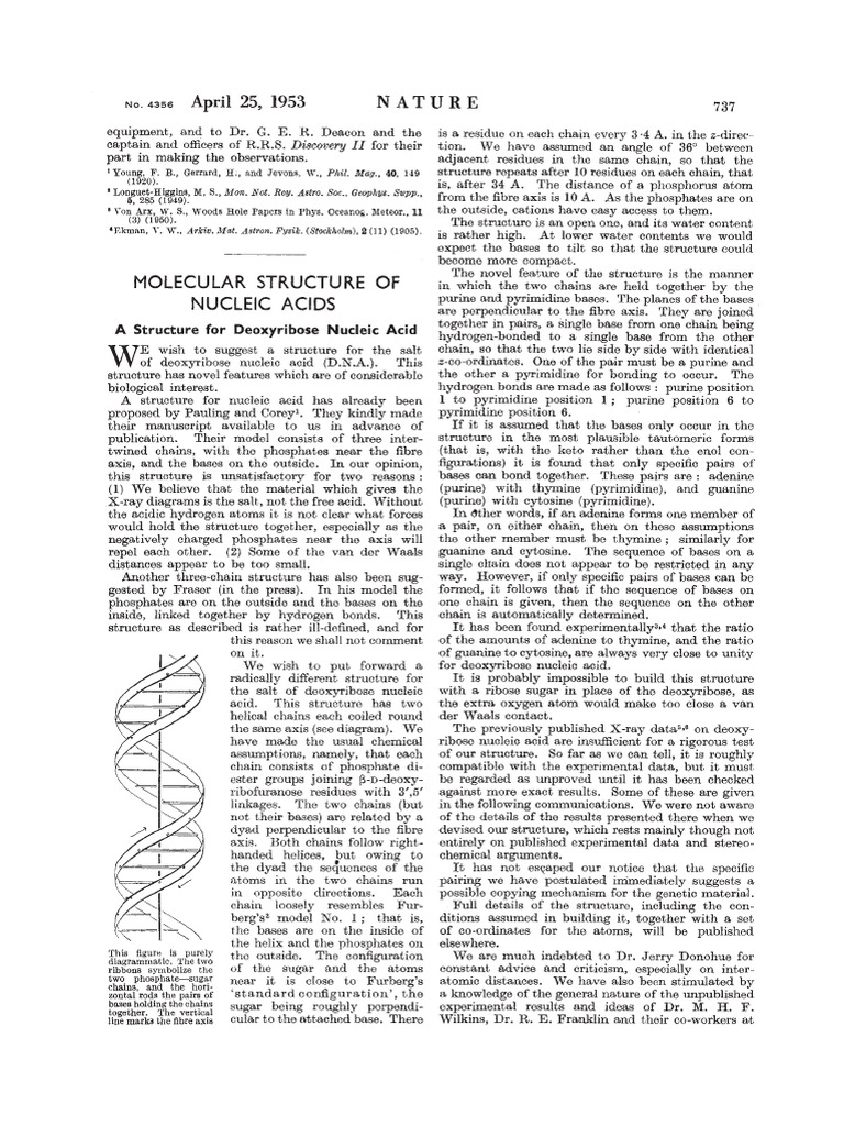 Molecular Structure of DNA Explained | PDF | Francis Crick | Helix