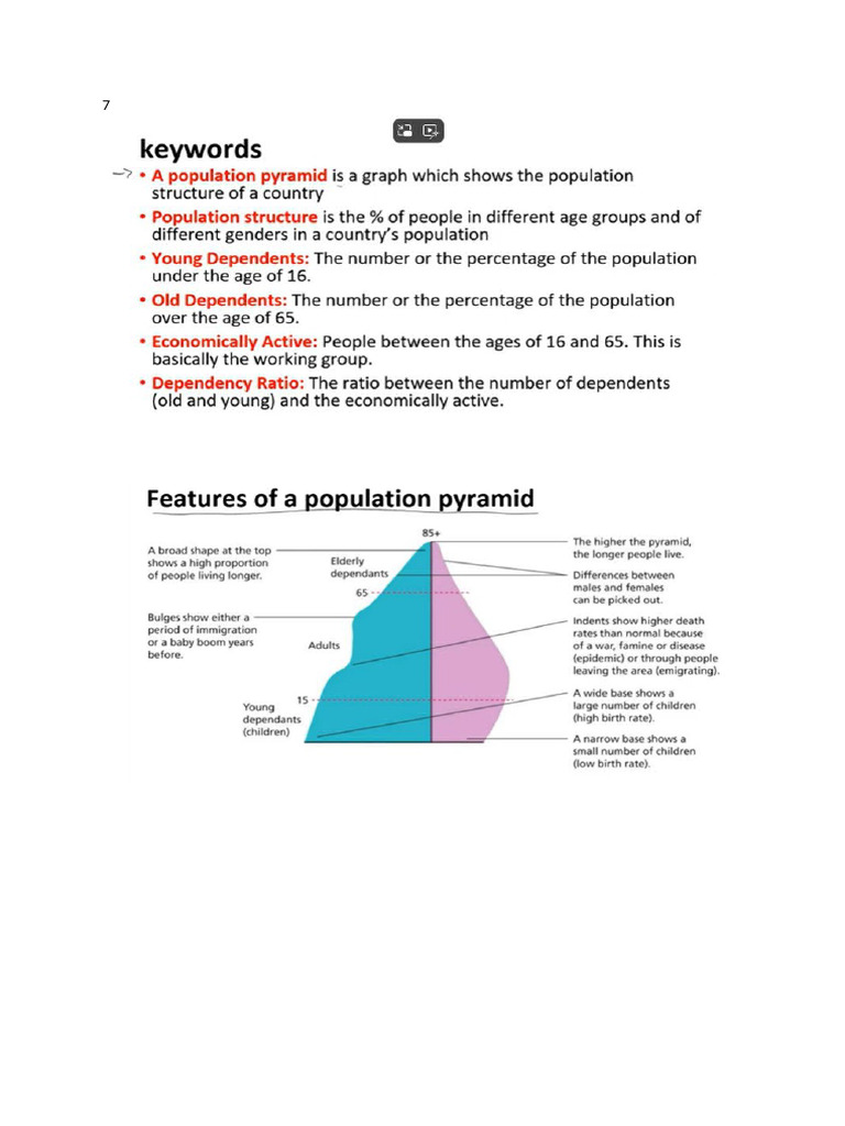 Population Structure | PDF