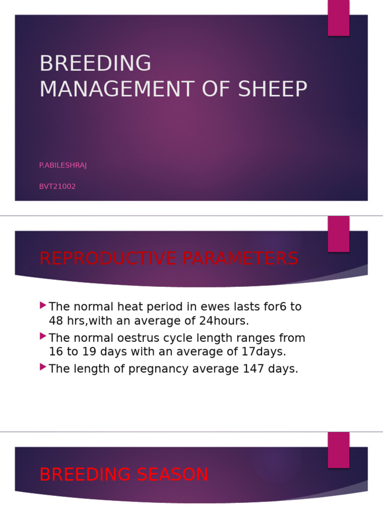 Breeding Management of Sheep | PDF | Cooking, Food & Wine | Wellness