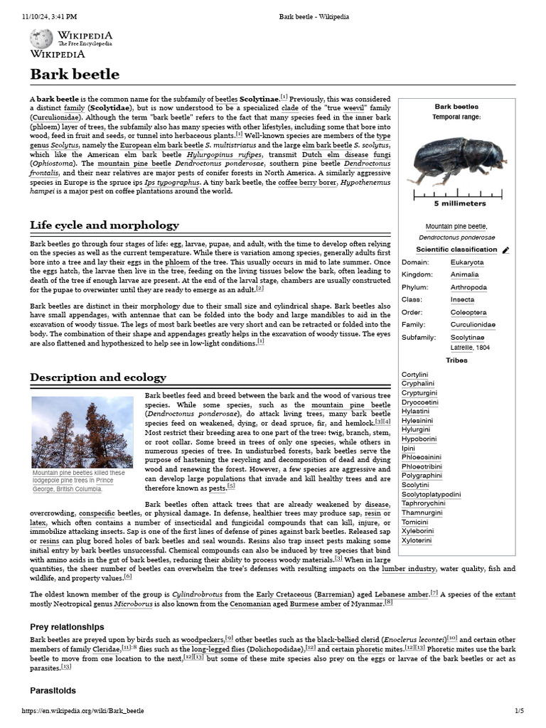 Bark beetle - Wikipedia | PDF | Insects