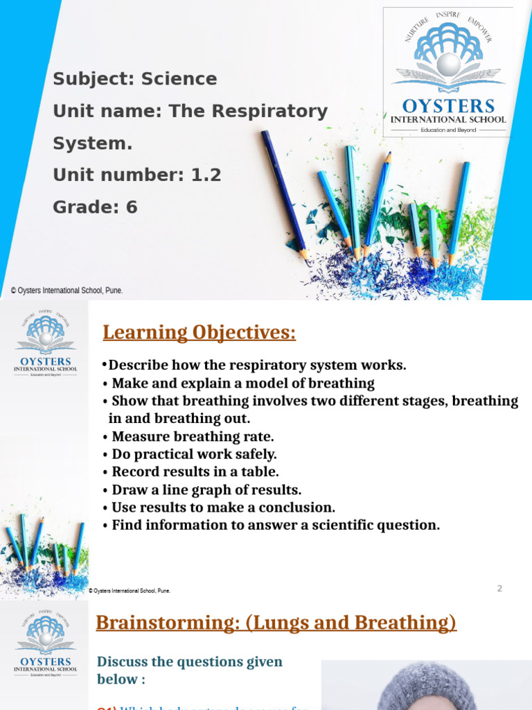 Grade 6 Respiratory System Overview | PDF | Breathing | Lung