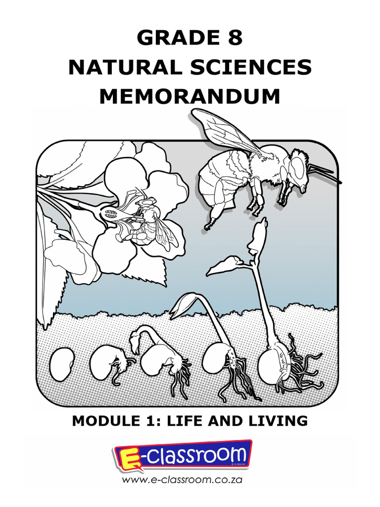 GR 8 Ns Life and Living Memo | PDF | Photosynthesis | Cellular Respiration
