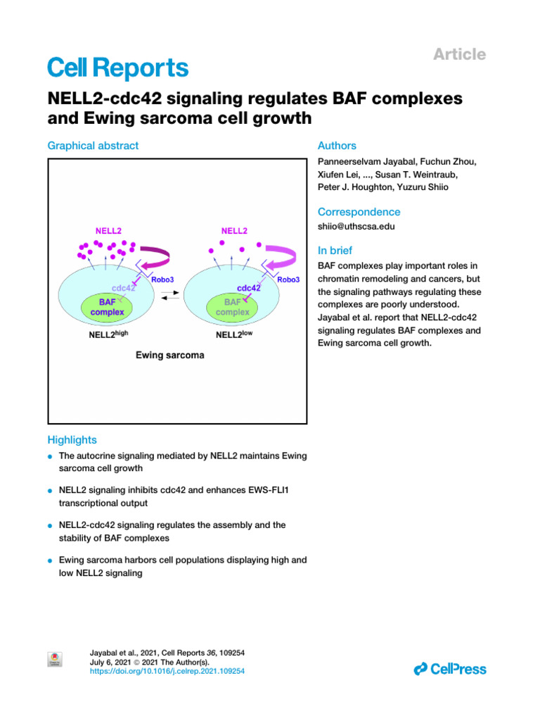 NELL2 cdc42 Signaling Regulates BAF Complexes and | PDF | Biological ...