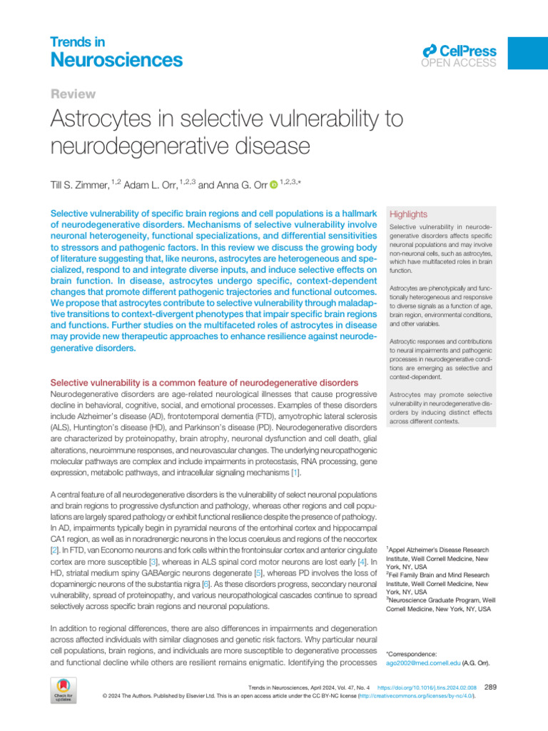 Astrocytes in Selective Vulnerability To Neurodege | PDF | Astrocyte ...
