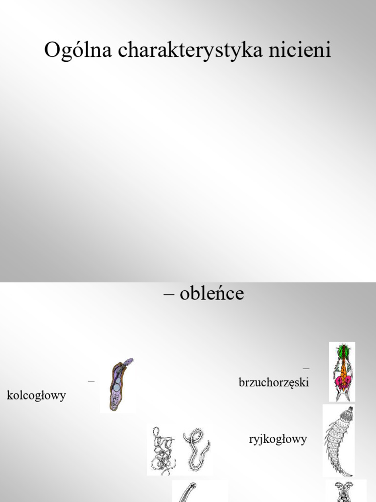 Ogolna Charakterystyka Nicieni, Glistnica Nematodozy Ptakow | PDF