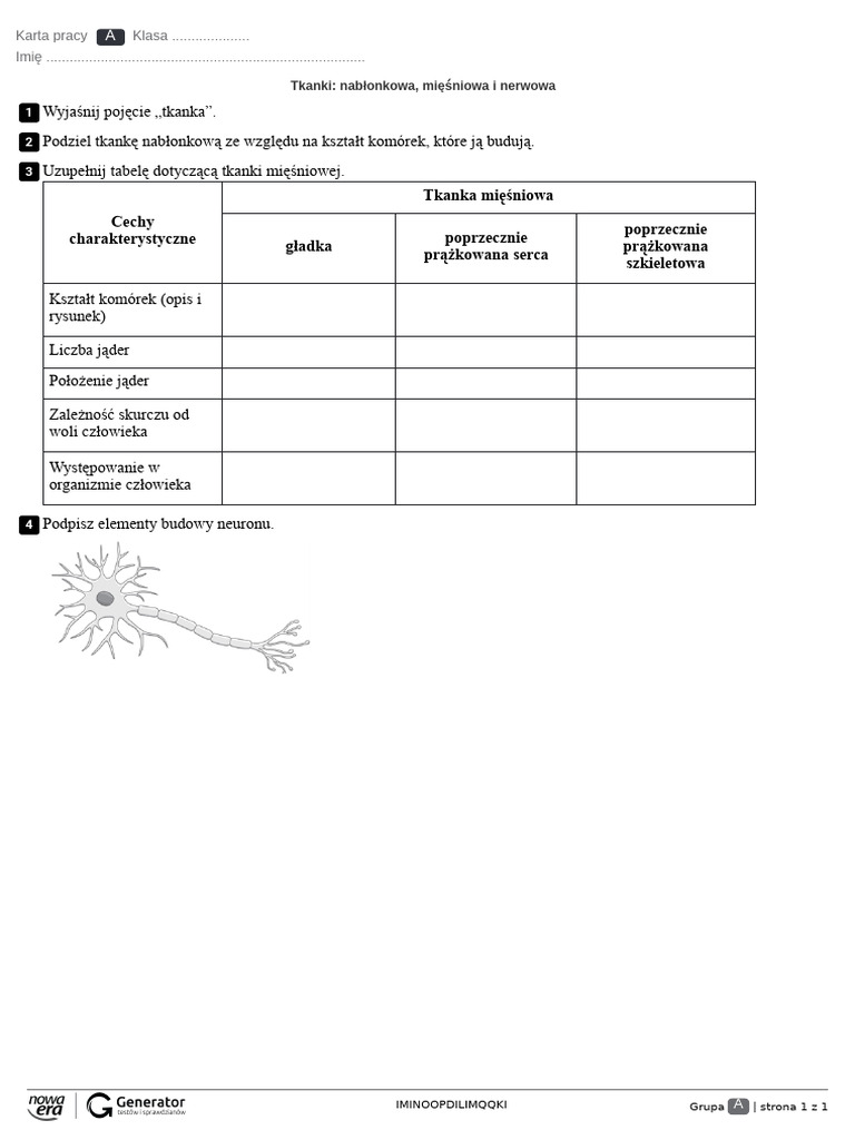 Tkanki - Nabłonkowa, Mięśniowa I Nerwowa Karta Pracy | PDF