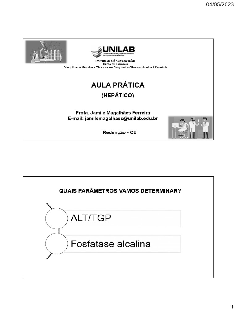 Slides Prática - Hepático - MTBC | PDF