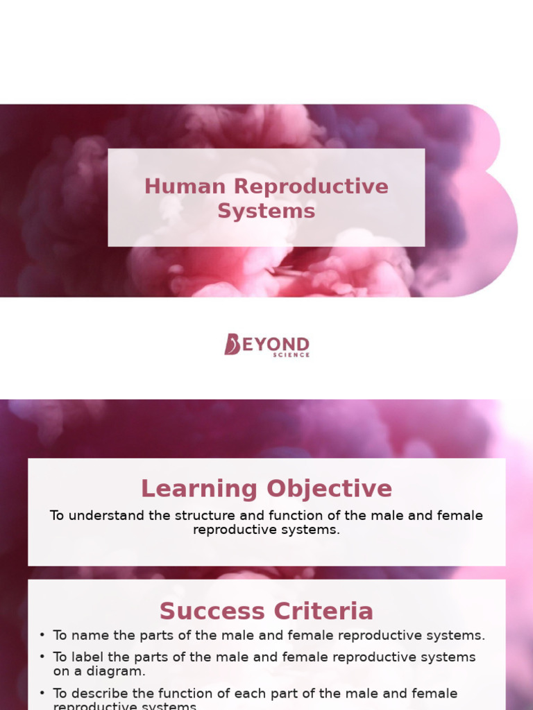 Toddle 0b8aa16f 7a47 47bc 889f 55b749471a5a Human Reproductive Systems ...