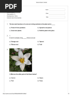 Dispersal Of Seed grade 5 | PDF | Seed | Plants