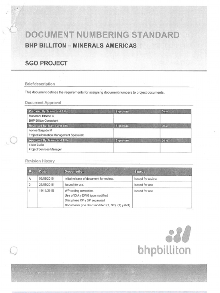 Document Numbering Standard BHP | PDF