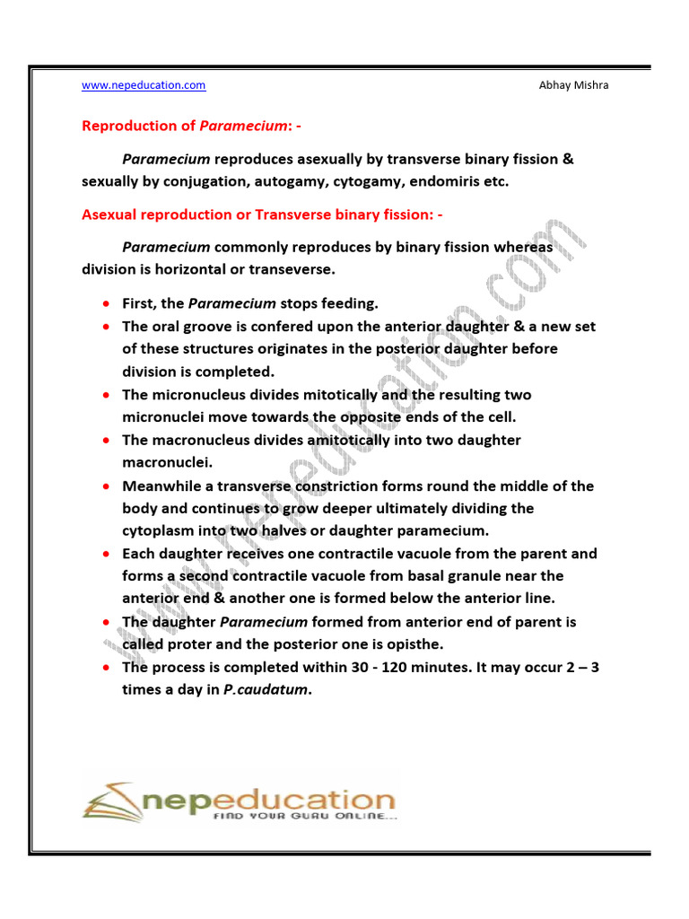 Microsoft Word - Asexual Reproduction | PDF | Home & Garden | Wellness