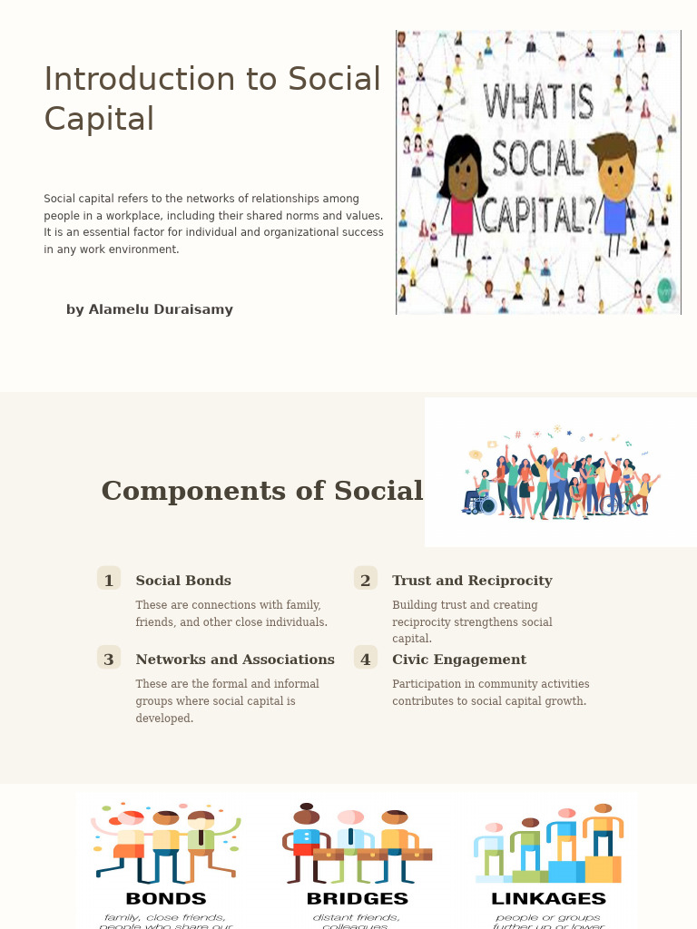 KS - SOCIAL CAPITAL | PDF | Social Capital | Mentorship