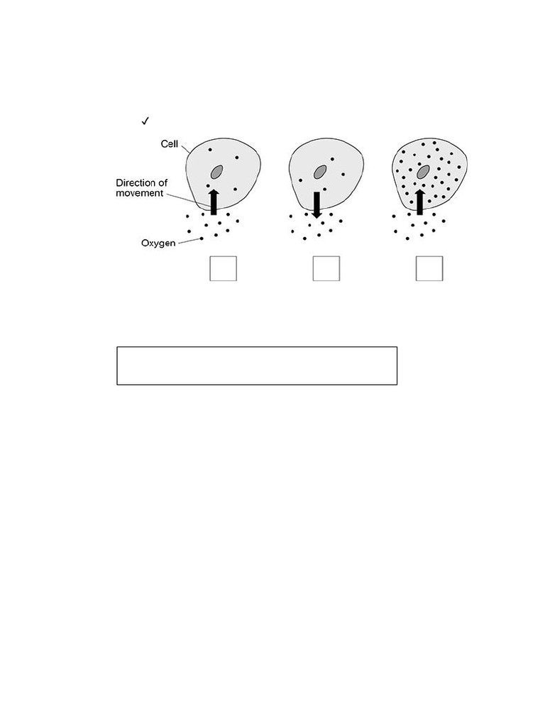 BIO ENZYMES QP | PDF | Enzyme | Active Site