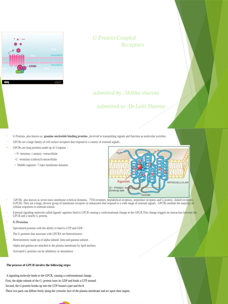 Presentation1 (Autosaved) | PDF | Cell Signaling | Neurochemistry