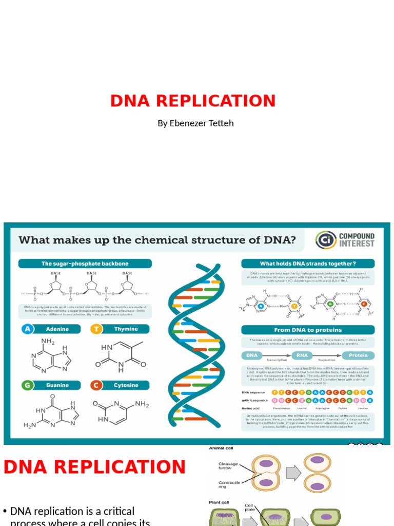 DNA Replication | PDF | Self-Improvement | Science & Mathematics