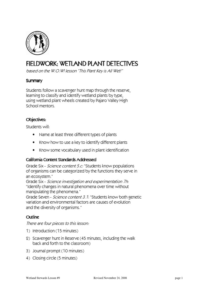 Lesson 9 Wetland Plant Detectives Lesson | PDF | Wetland | Leaf