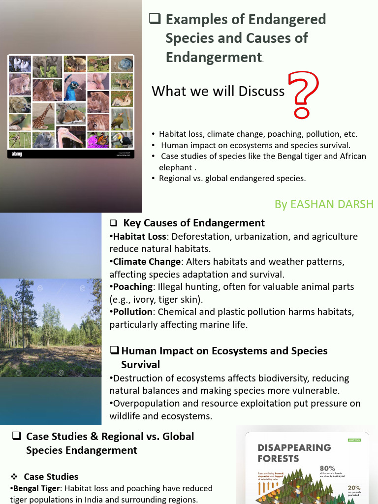 Endangered Species Causes and Impact EVS | PDF