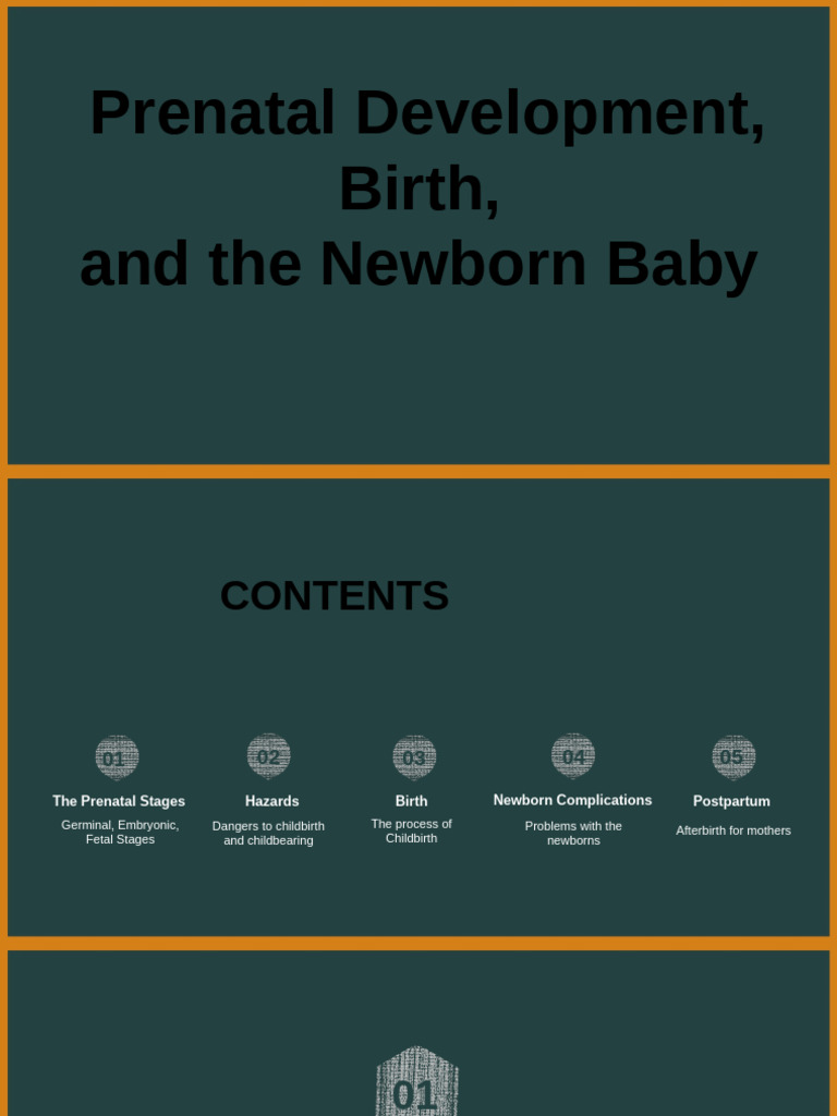 Prenatal Development Birth and The Newborn Baby 1 | PDF | Childbirth ...