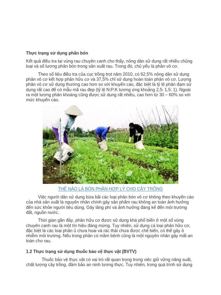 TH C TR NG S D NG Phân Bón | PDF