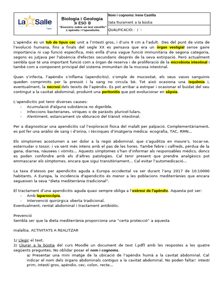 Apendix I Apendicitis Irene Castilla | PDF