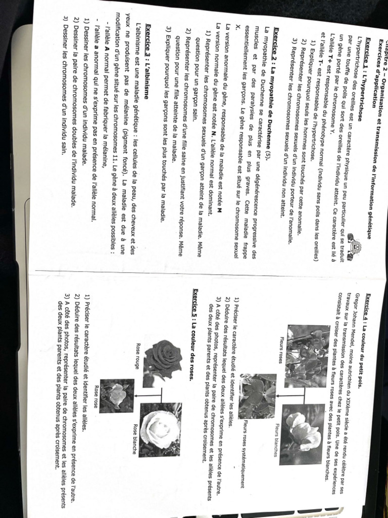 Document 2024-10-27 211508 | PDF