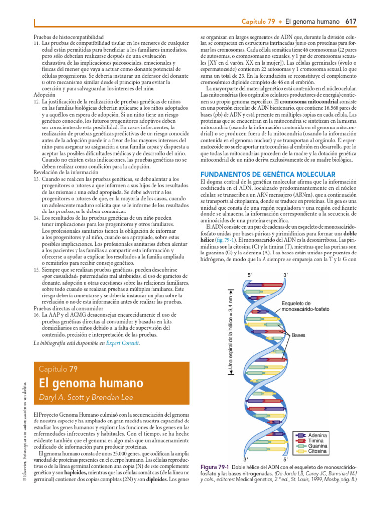 Genoma | PDF | Rna | Adn