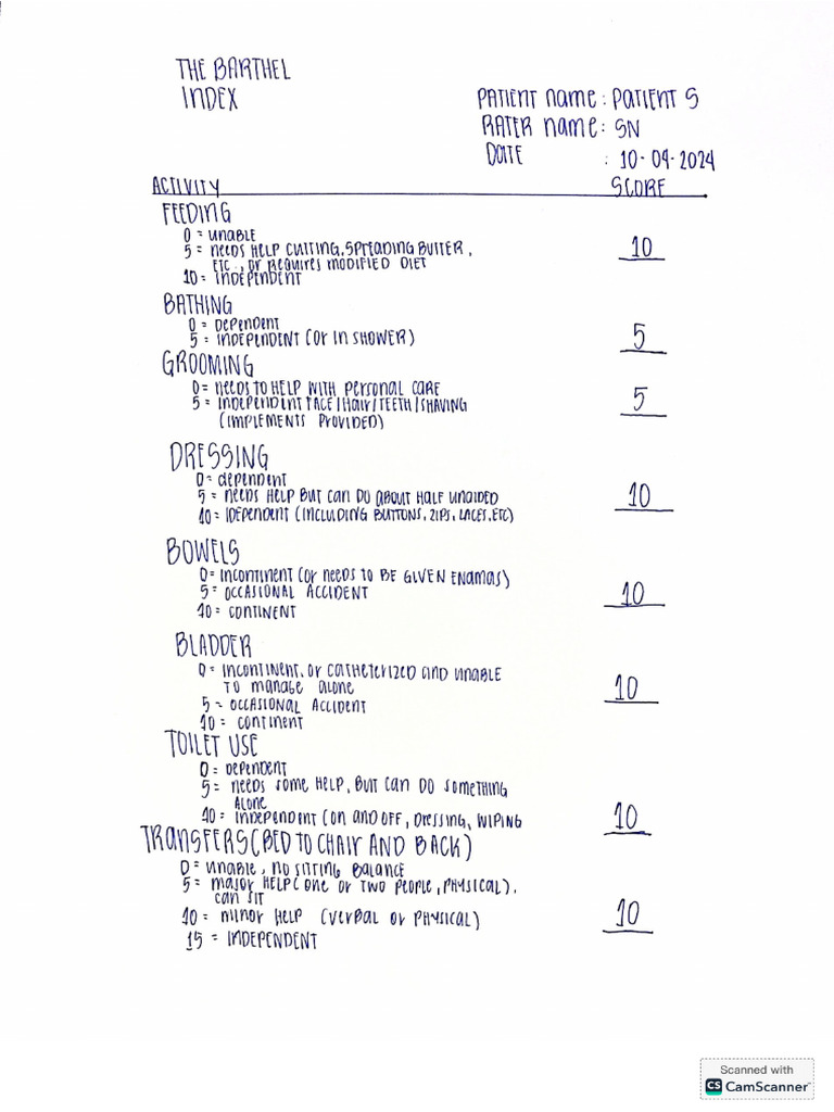 The Barthel Index | PDF