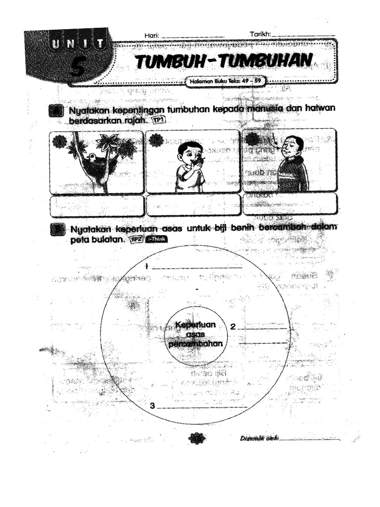 Latihan Sains Tahun 2 Tumbuhan | PDF