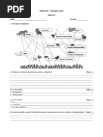 GJEOGRAFIA 6 Modele Testesh | PDF