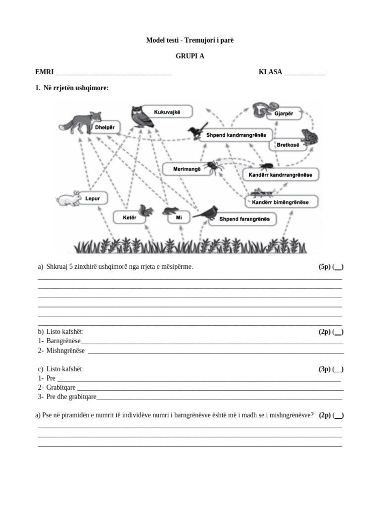 BIOLOGJIA 6 Modele Testesh Sipas Periudhave | PDF