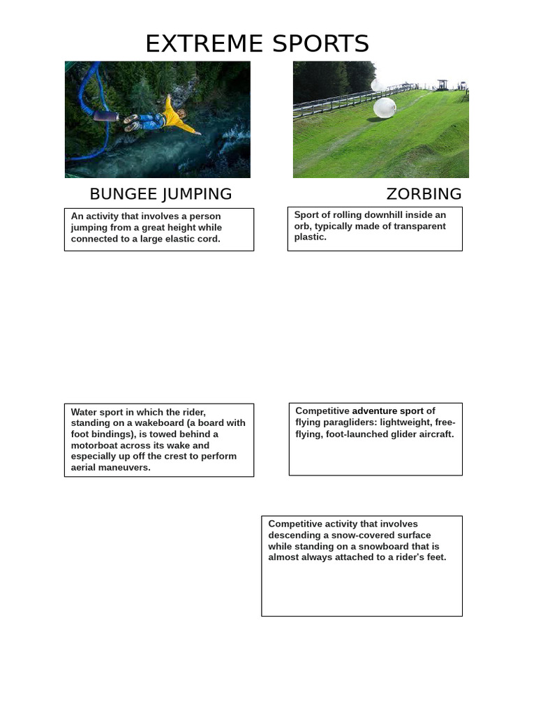 Bungee Jumping Zorbing | PDF