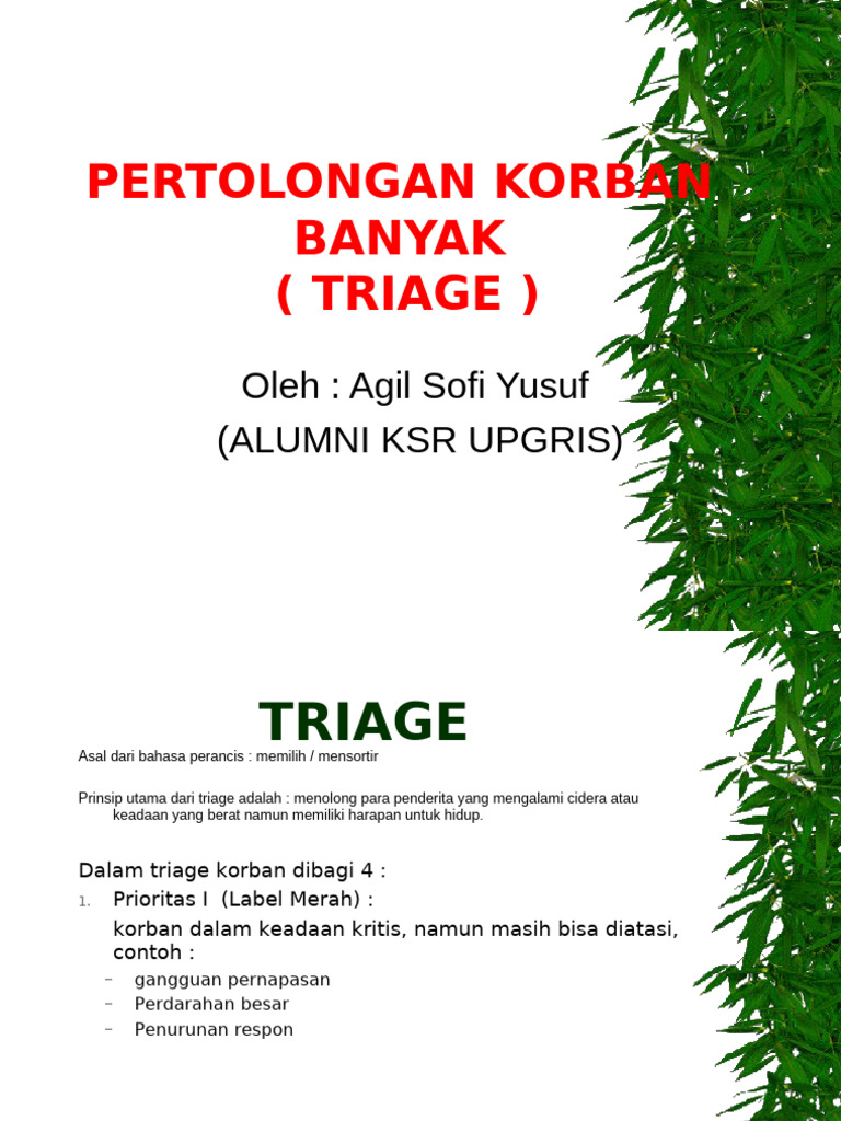 Triage | PDF