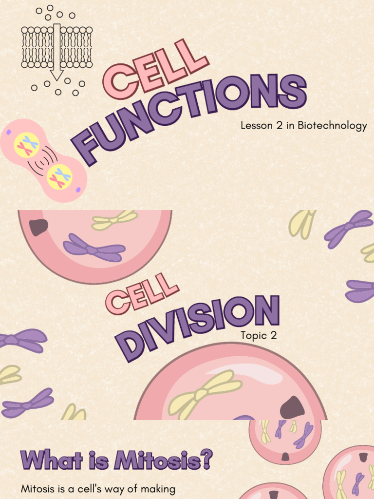 Lesson 2 Topic 2 in Biotechnology - Compressed | PDF | Mitosis | Meiosis