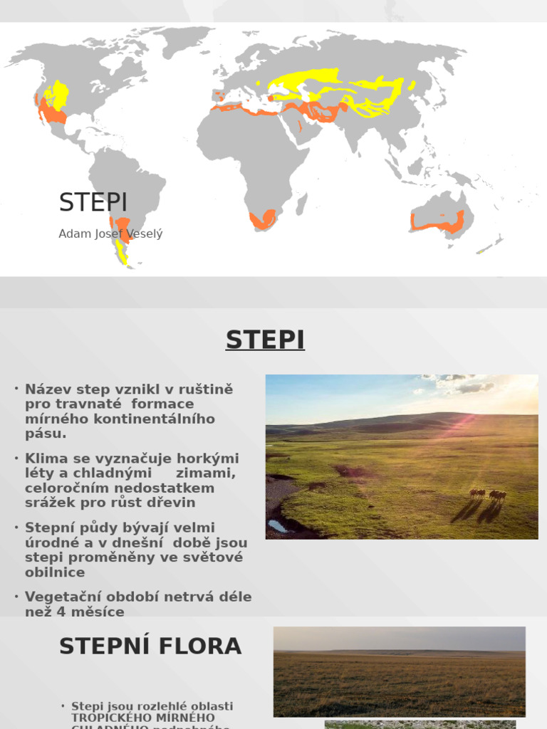 Stepi 32 | PDF