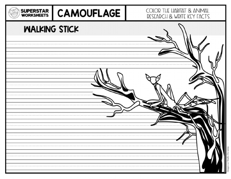 Camoflague Walking Stick | PDF