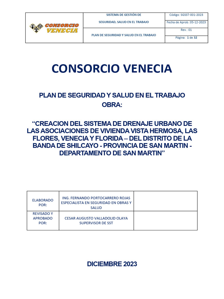 Plan de SST | PDF | Valores